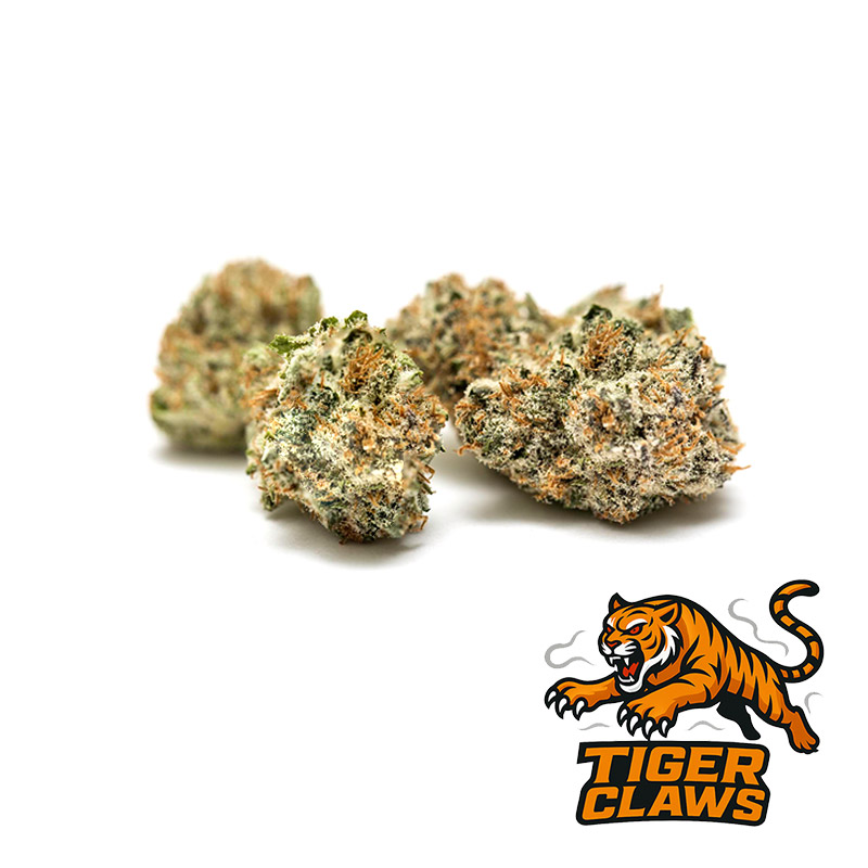 Tigers Claw Hybrid - Cannabis Strain - Buy Online